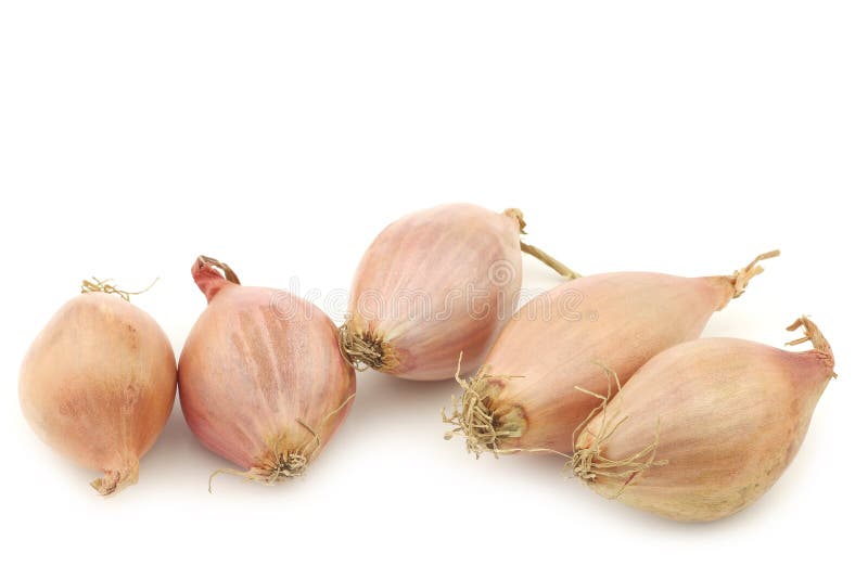 Shallots stock photo. Image of cook, onions, shallots - 22606346