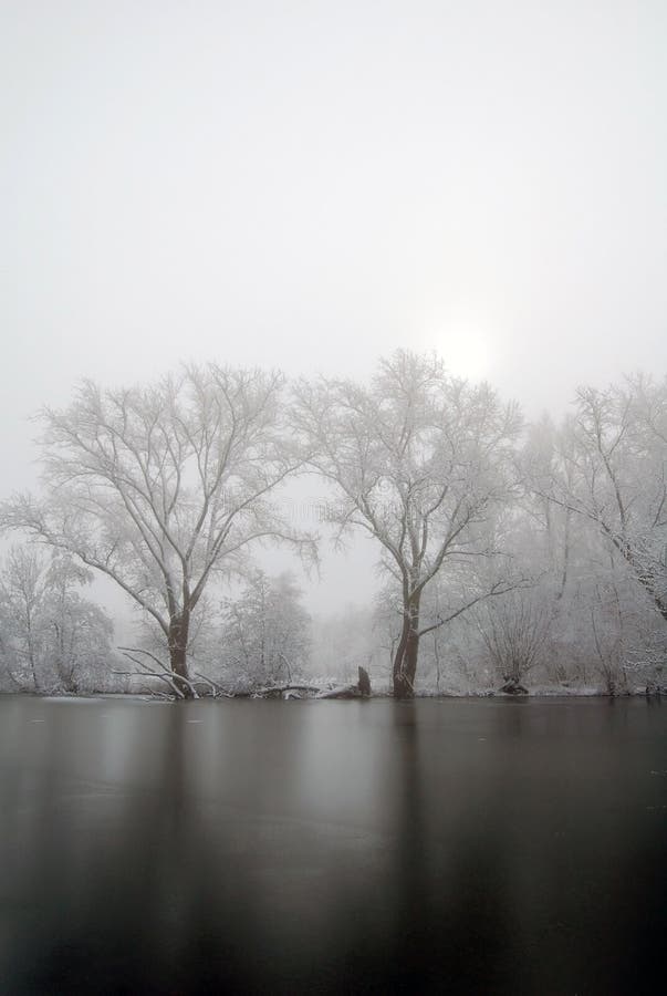 Dutch Snow Landscape in the Fog with Sun Stock Photo - Image of frozen ...