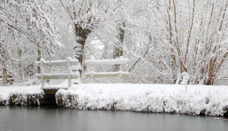 Dutch Snow Landscape with Lake and Trees Stock Photo - Image of dutch ...
