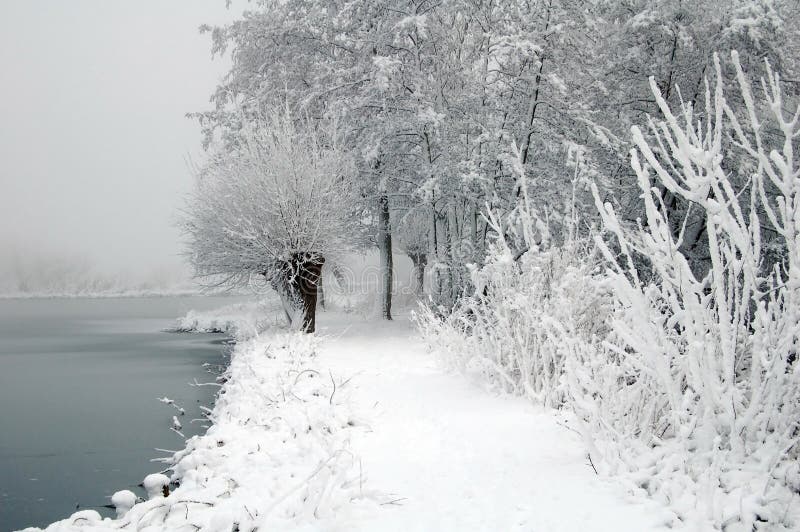 Dutch Snow Landscape with Lake and Trees Stock Image - Image of ...