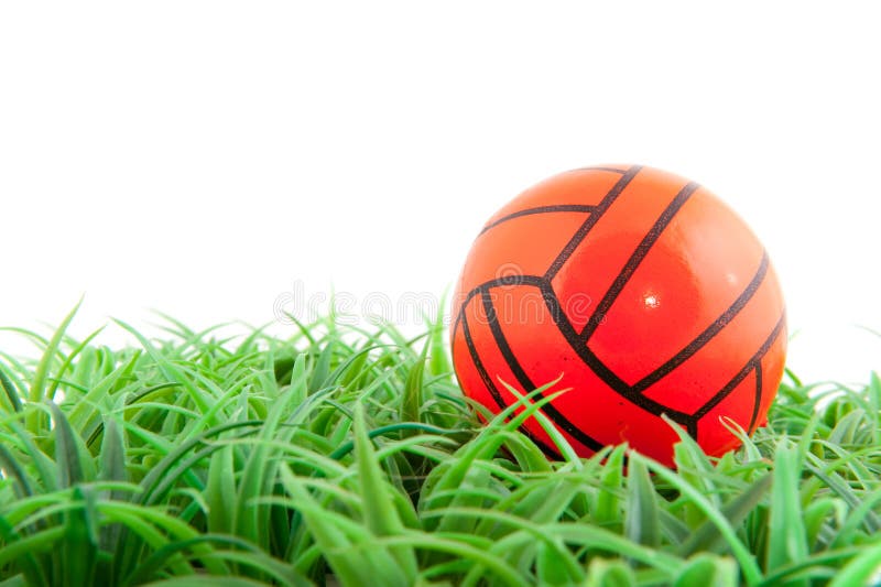 Dutch soccer stock image. Image of world, championship - 13819571