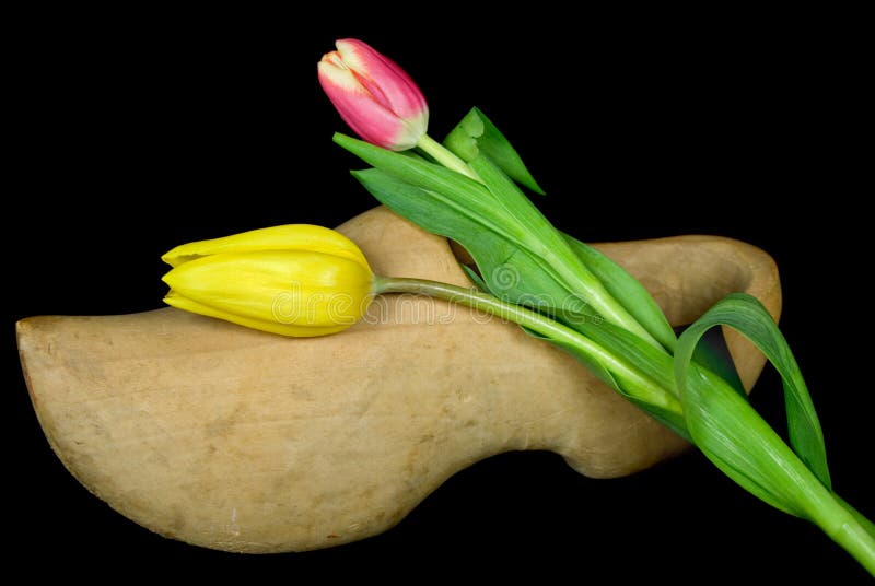 Dutch Spring stock image. Image of traditional, heritage - 13094815