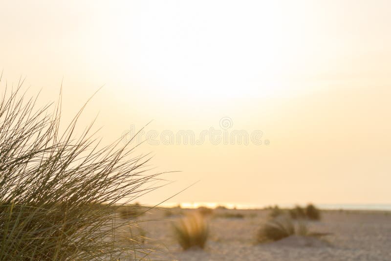 Dutch sunset beach stock image. Image of vacation, backround - 103083821