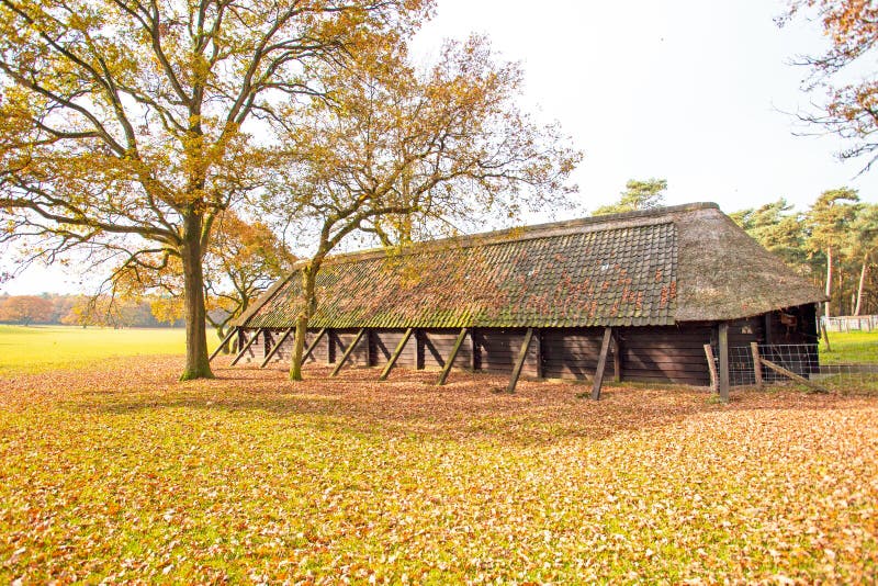 Old Sheep fold stock photo. Image of national, wales - 22110150