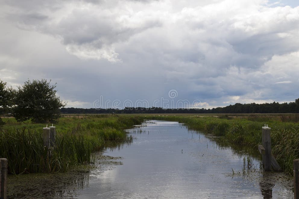 Dutch Wetlands with Approaching Storm Stock Image - Image of land ...