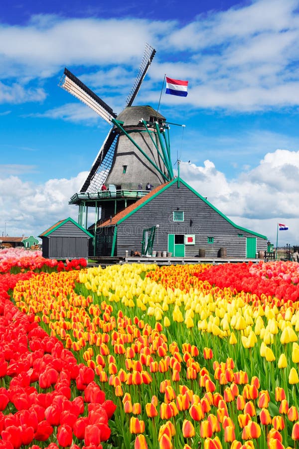 Dutch wind mills editorial photo. Image of spring, country - 83835621