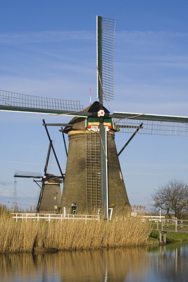 Dutch windmill and cow stock photo. Image of kinderdijk - 27080950