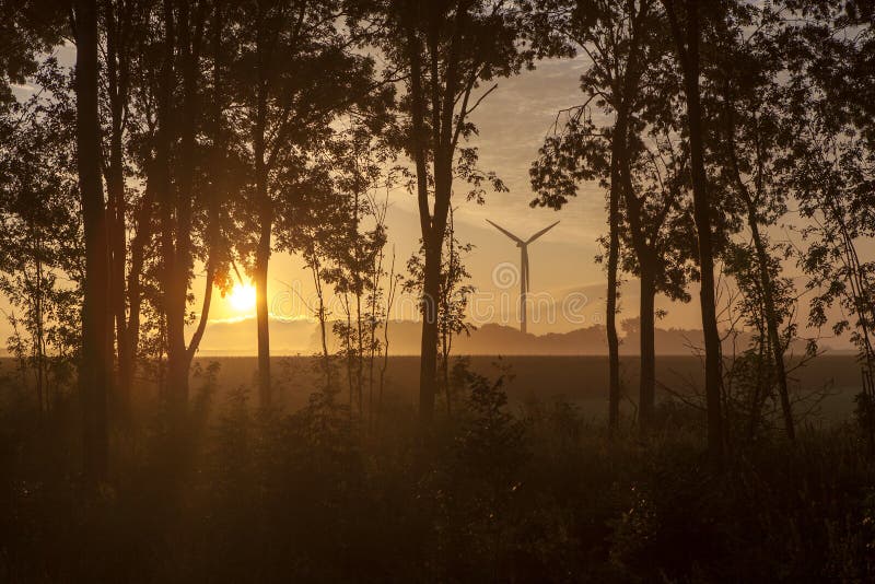 Dutch Windmill in the Evening Stock Photo - Image of dutch, holland ...