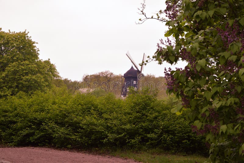 Dutch Windmill in Holland Spring Stock Image - Image of energy ...