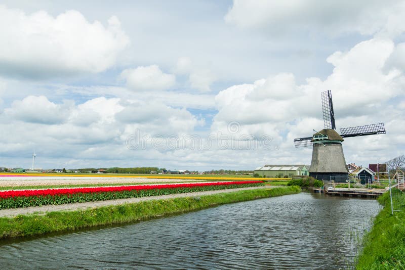 Dutch Windmill. Netherlands Stock Photo - Image of polder, building ...
