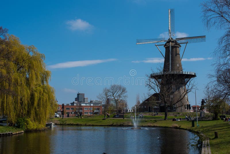 Dutch windmill in spring editorial stock image. Image of field - 219000649