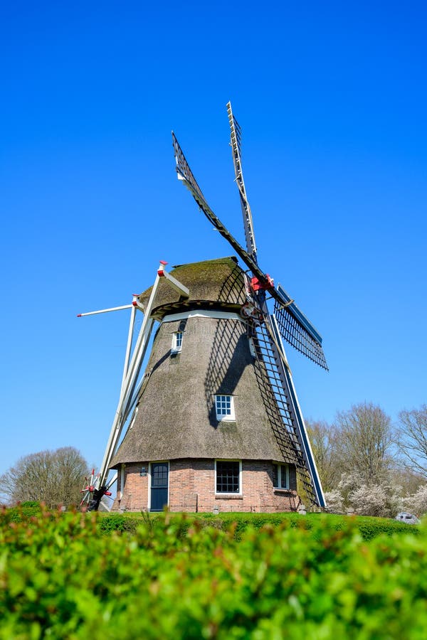 Dutch Windmill in Spring Time with Blue Sky Stock Image - Image of ...