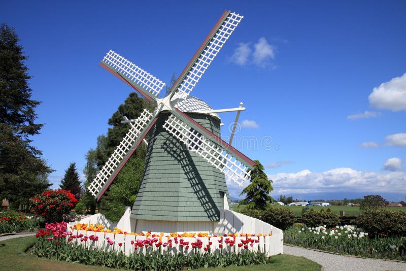 Dutch windmill stock image. Image of historic, golden - 13476569