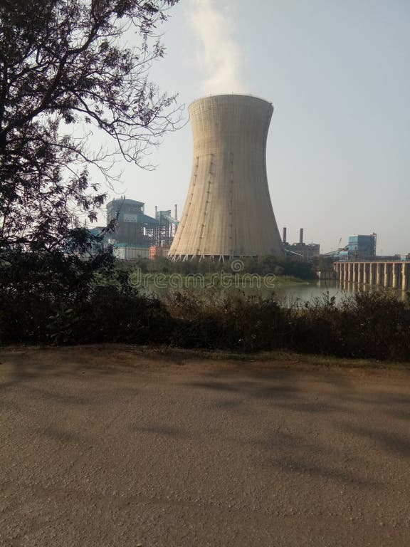 Dvc plant is india stock photo. Image of india, plant - 172378118