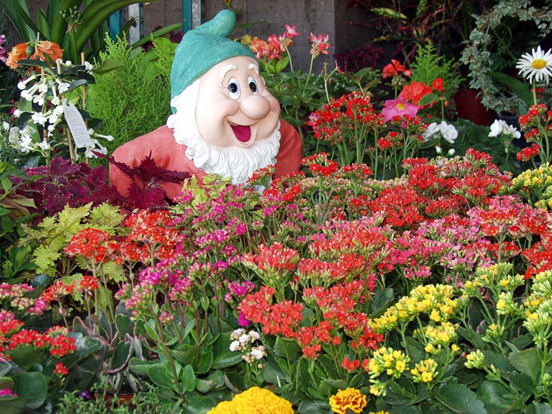 Dwarf stock photo. Image of price, cute, sold, plastic - 1806404