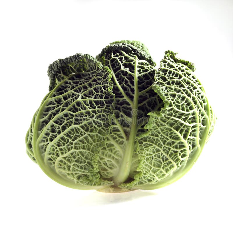 Dwarf Green Cabbage, Brassica Oleracea, Vegetable Against White ...