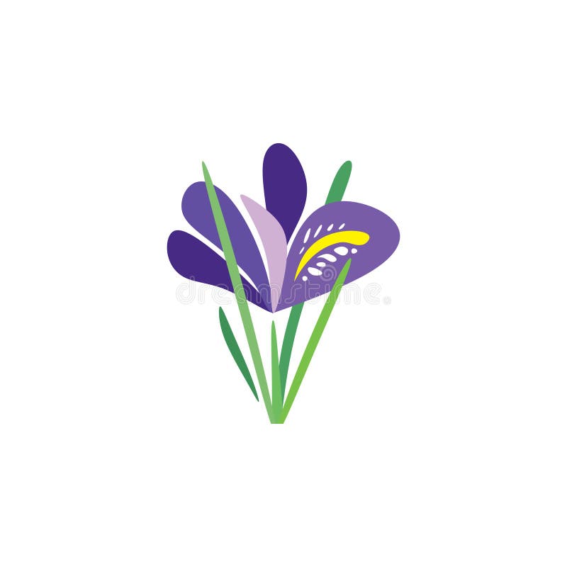 Dwarf Iris Purple Flower Vector Logo Icon Illustration Stock Vector ...