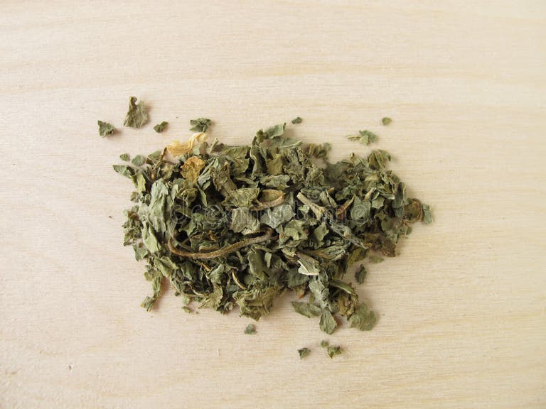 Dwarf Mallow Leaves, Malvae Folium Stock Image - Image of healing ...