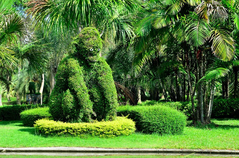 The dwarf trees at garden stock photo. Image of branch - 61944962