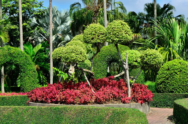 The dwarf trees at garden stock photo. Image of garden - 61947930