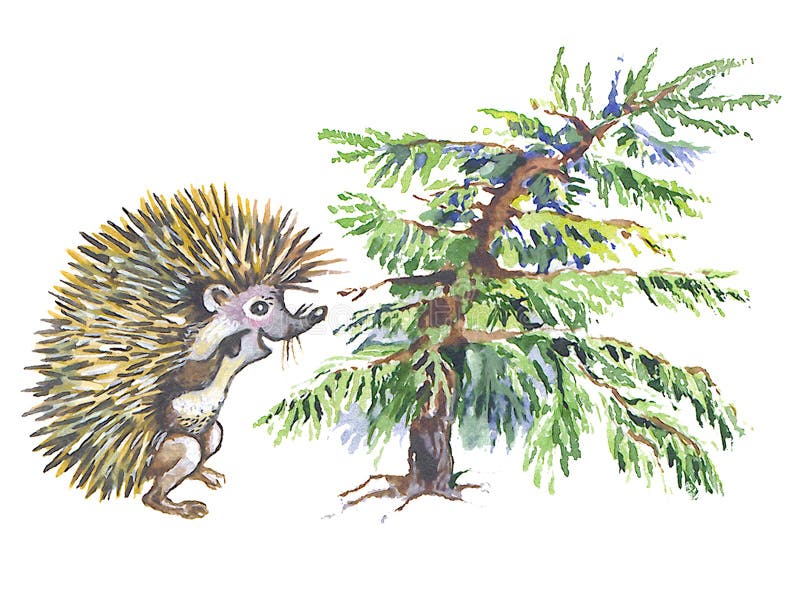 Dwarfish Fur-tree and Hedgehog. Stock Illustration - Illustration of ...