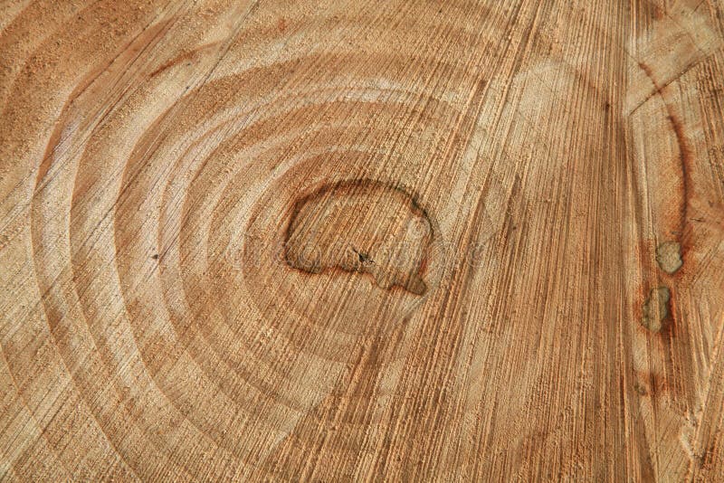 Doorsnede Van Een Boom. Natuurlijke Achtergrond Stock Foto - Image of ...