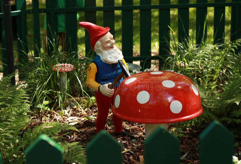 Dwerg En Giftige Paddestoel Stock Afbeelding - Image of hoed, oudste ...