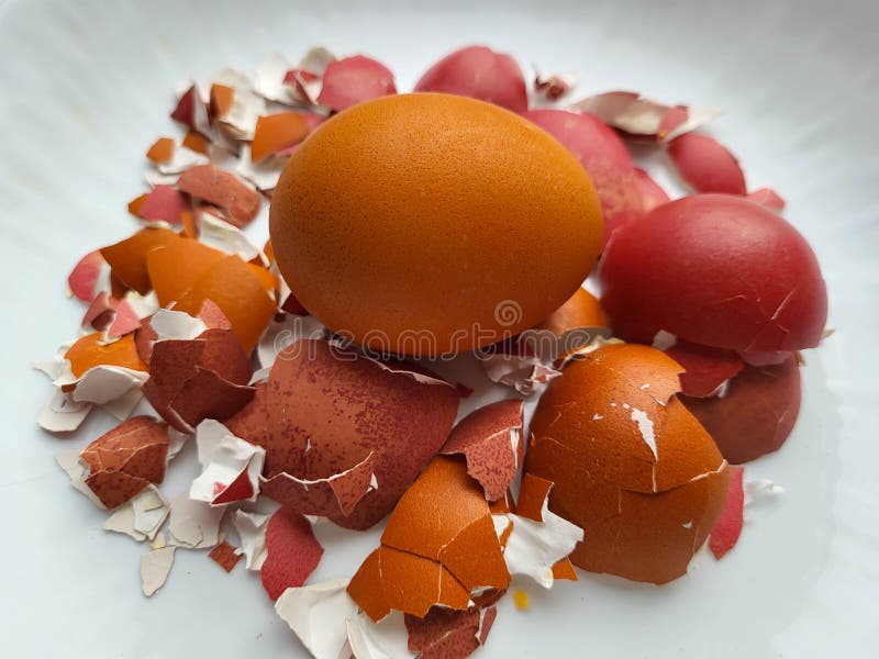 A Dyed Brown Egg Lies on a Broken Red Brown Eggshell. Stock Image ...
