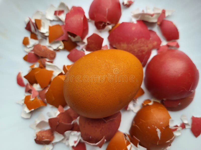 A Dyed Brown Egg Lies on a Broken Red Brown Eggshell Stock Photo ...