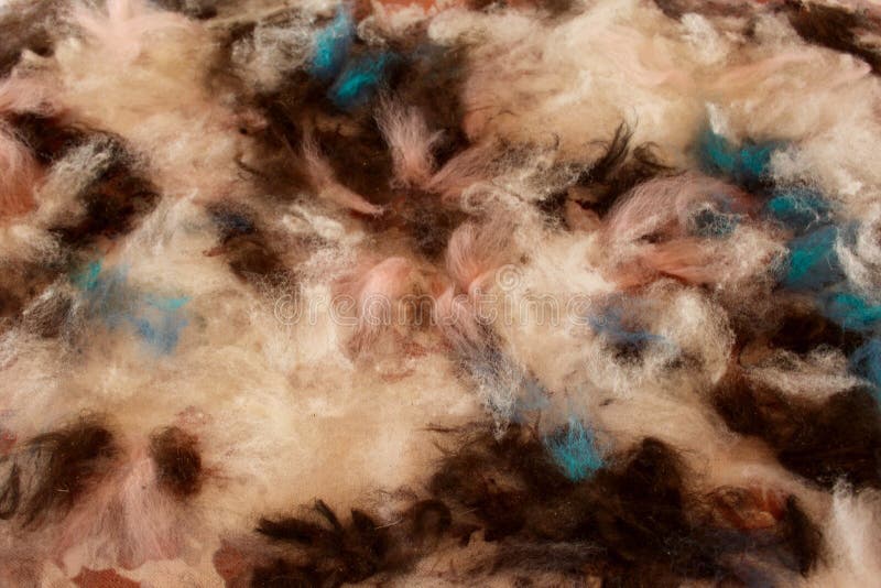Dyed sheep wool stock image. Image of roving, cream, turquoise - 83970151