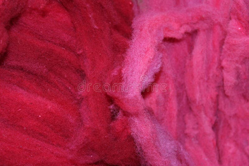 Dyed sheep wool stock photo. Image of animal, fleece - 85729358