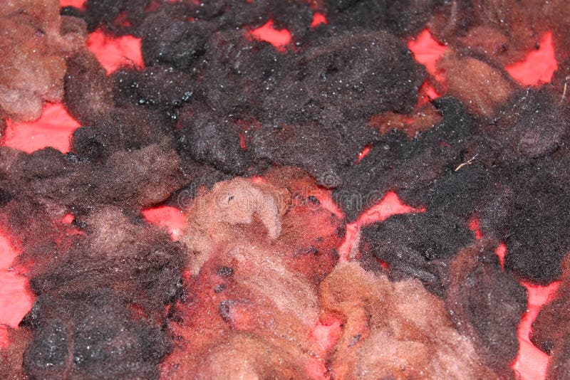 Dyed sheep wool stock image. Image of table, shaft, floor - 85120715