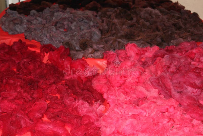 Dyed sheep wool stock photo. Image of laying, locks, combing - 85145058