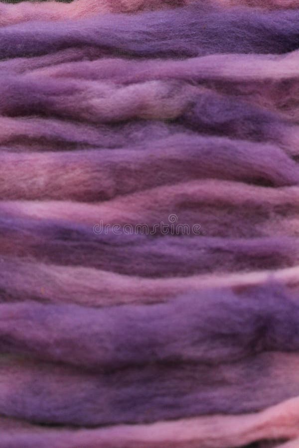 Dyed sheep wool roving stock image. Image of sheep, intensity - 86239941