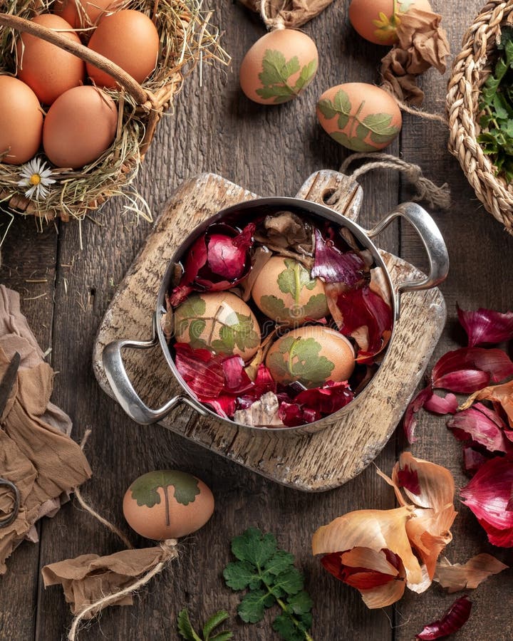 Dyeing Easter Eggs with Onion Peels with a Pattern of Fresh Herbs Stock ...