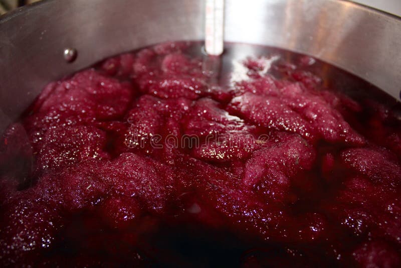 Dyeing sheep wool stock photo. Image of craftsmanship - 84631996