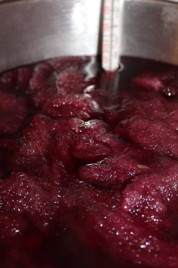 Dyeing sheep wool stock photo. Image of acid, texture - 84633866