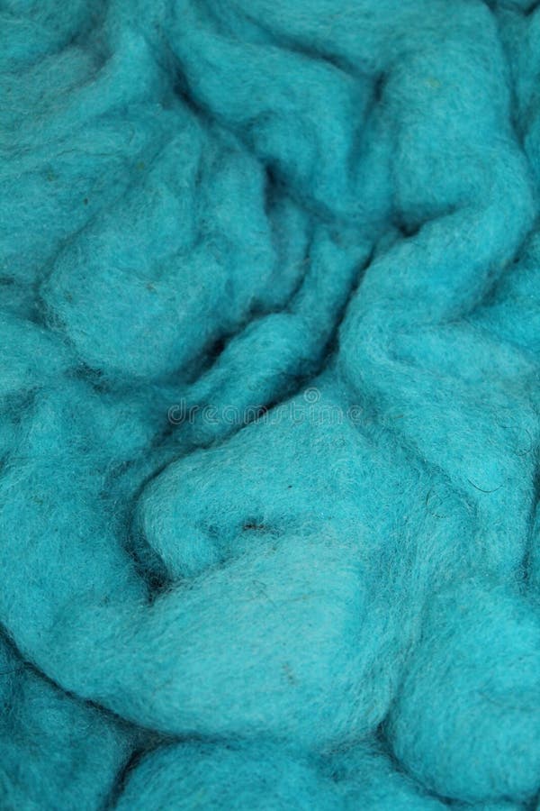 Dyeing sheep wool stock photo. Image of tunis, spinning - 86444076