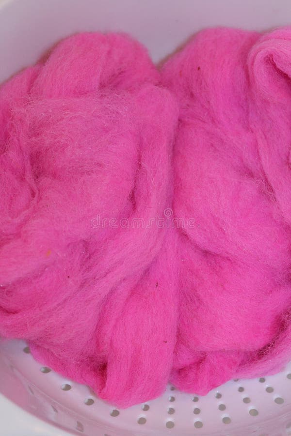 Dyeing sheep wool stock image. Image of spinning, american - 86444185