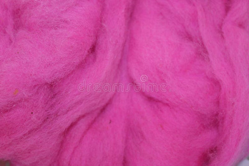 Dyeing sheep wool stock image. Image of sheep, felted - 86444223