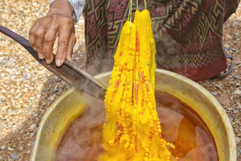 Dyeing Silk. Using Traditional Natural Materials Stock Image - Image of ...