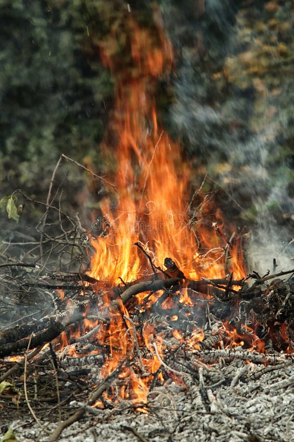Embers Dying Fire Stock Images - Download 97 Royalty Free Photos