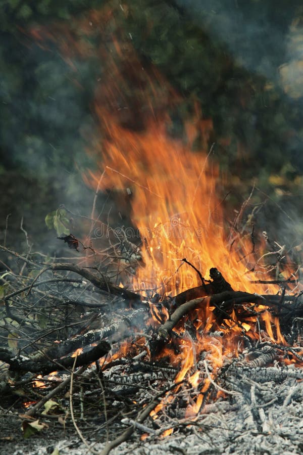 Embers Dying Fire Stock Images - Download 97 Royalty Free Photos