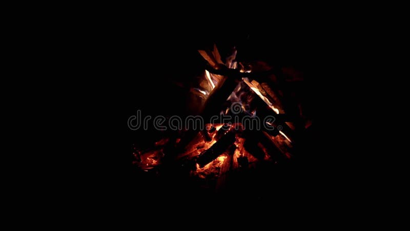 Dying Campfire in the Night Forest on a Black Background Stock Video ...