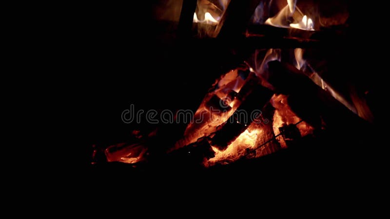 Dying Campfire in the Night Forest on a Black Background Stock Video - Video of burnt, campfire ...