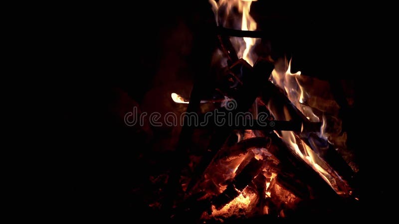 Dying Campfire in the Night Forest on a Black Background Stock Video ...