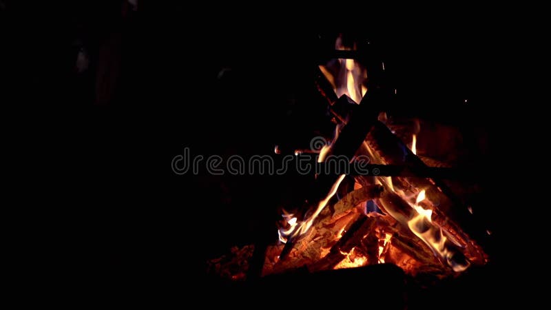 Dying Campfire in the Night Forest on a Black Background Stock Video - Video of burnt, campfire ...