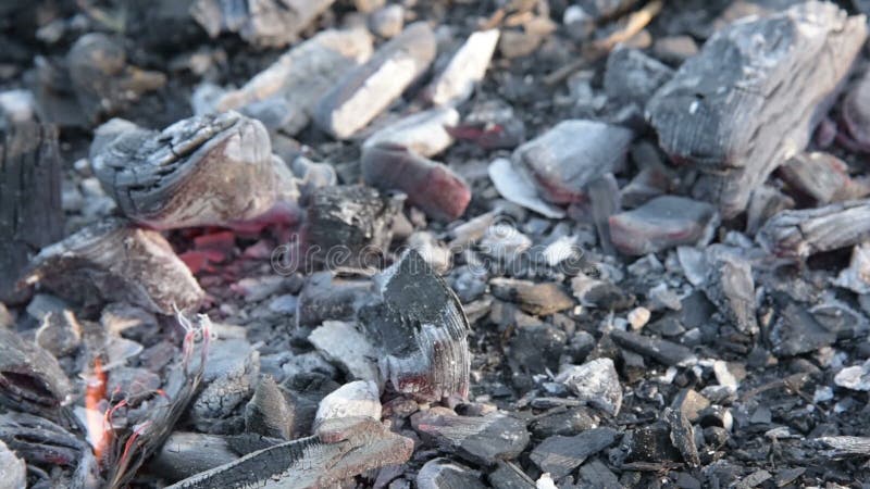 The Dying Coals in the Fire Stock Footage - Video of blazing, close ...
