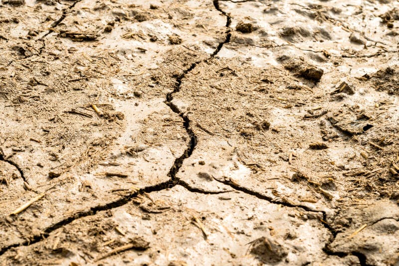 Dying and Drying Land Cause of Climate Change and Water Shortage Stock ...