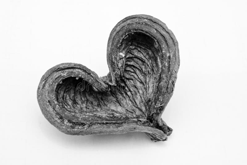 Dying Heart Stock Images - Download 686 Royalty Free Photos